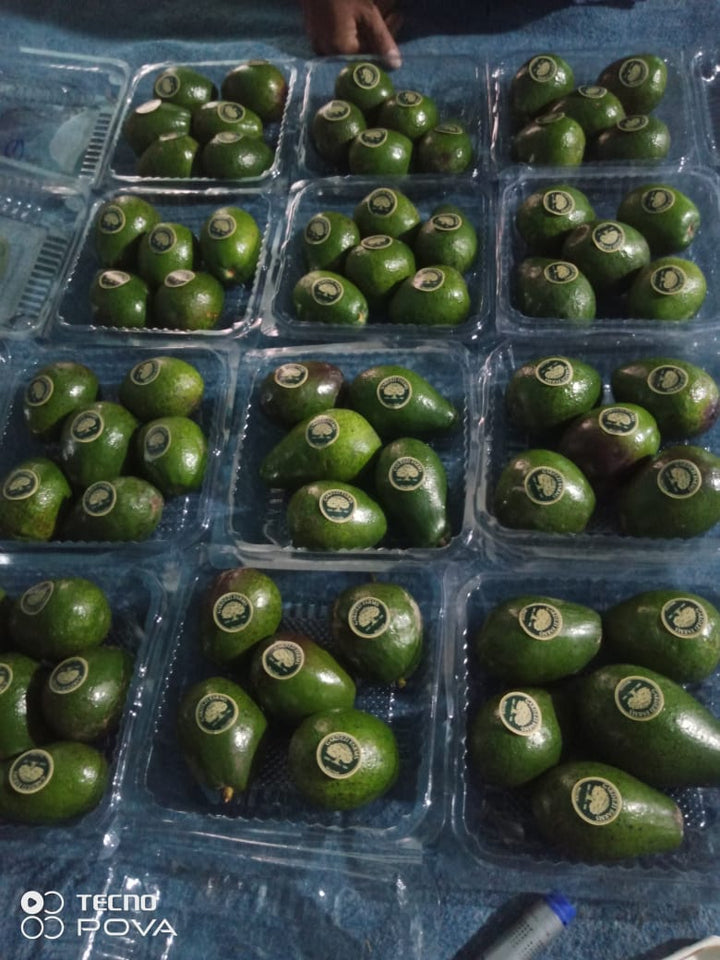Buy Premium Quality Fresh Fruits Online - Farm-to-Table | Gardezi Farms ...