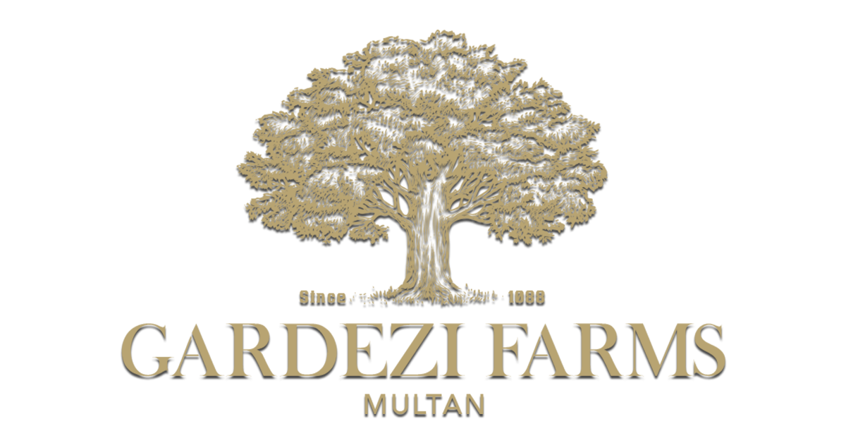 Our Story – Gardezi Farms