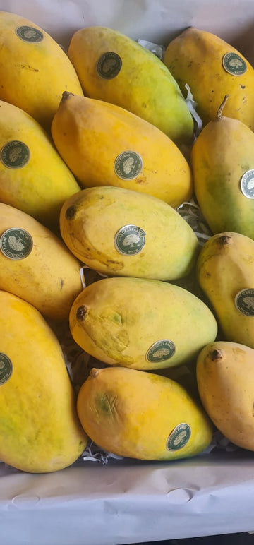 Buy Mangoes Online - Premium Quality - All Over Pakistan | Gardezi ...